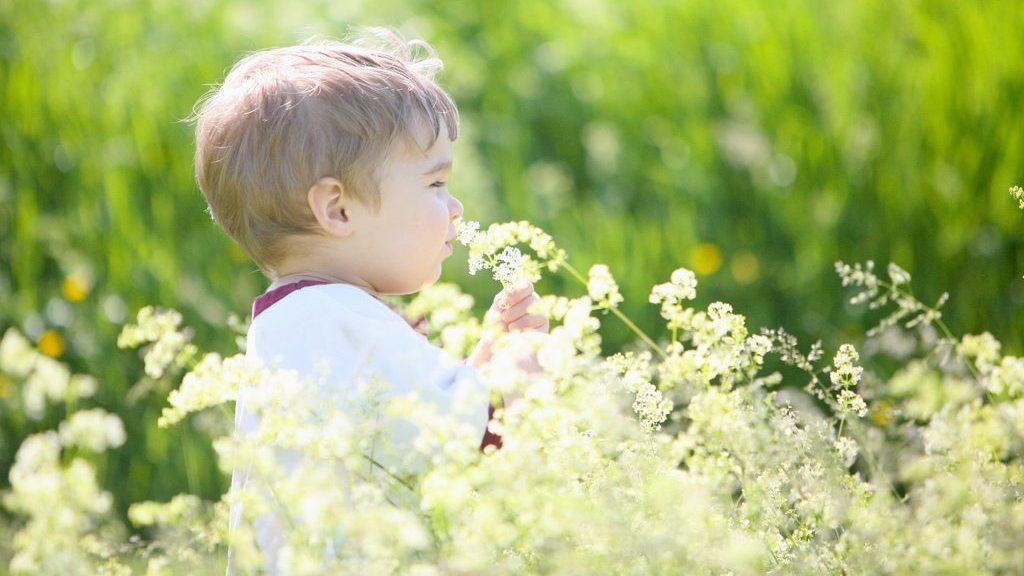 Learn to Train Your Sense of Smell! • EWCed • Educational Video