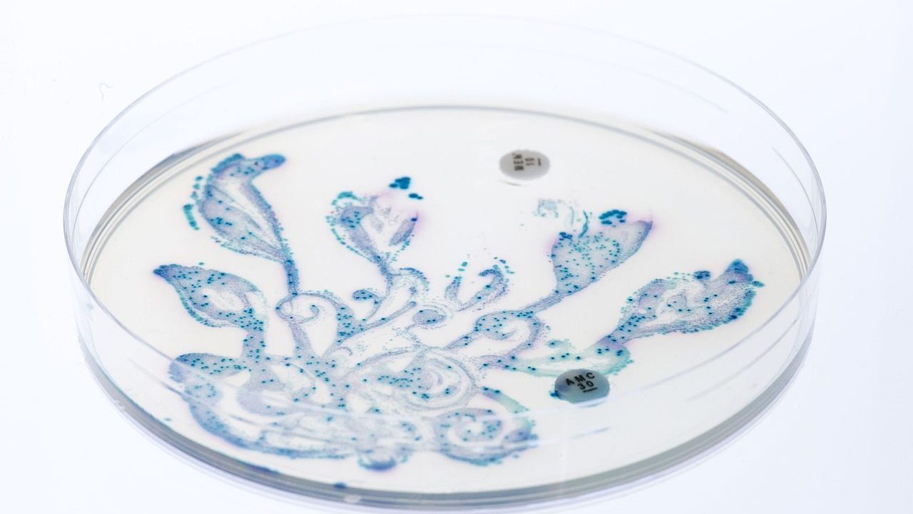 Meet Your Microbiome! The Microbes that Keep You Alive • EWCed